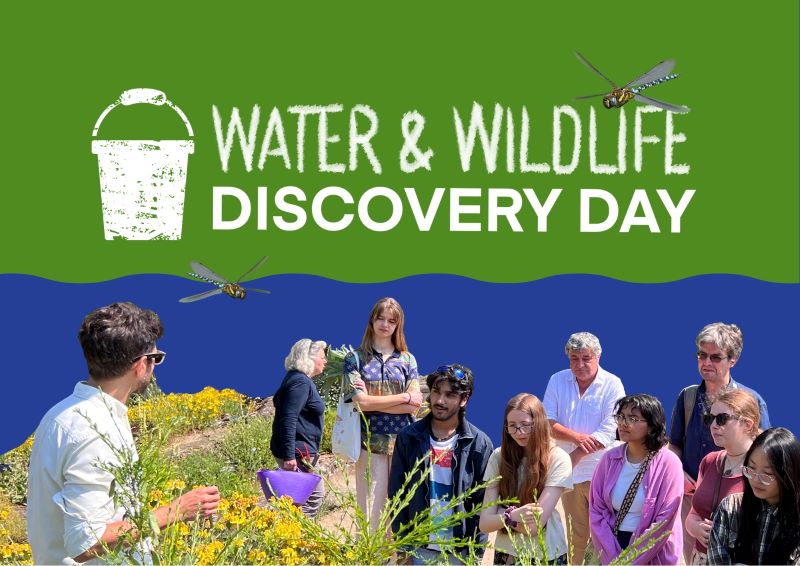 Water and Wildlife Discovery Day | Oxford University Museum of Natural ...
