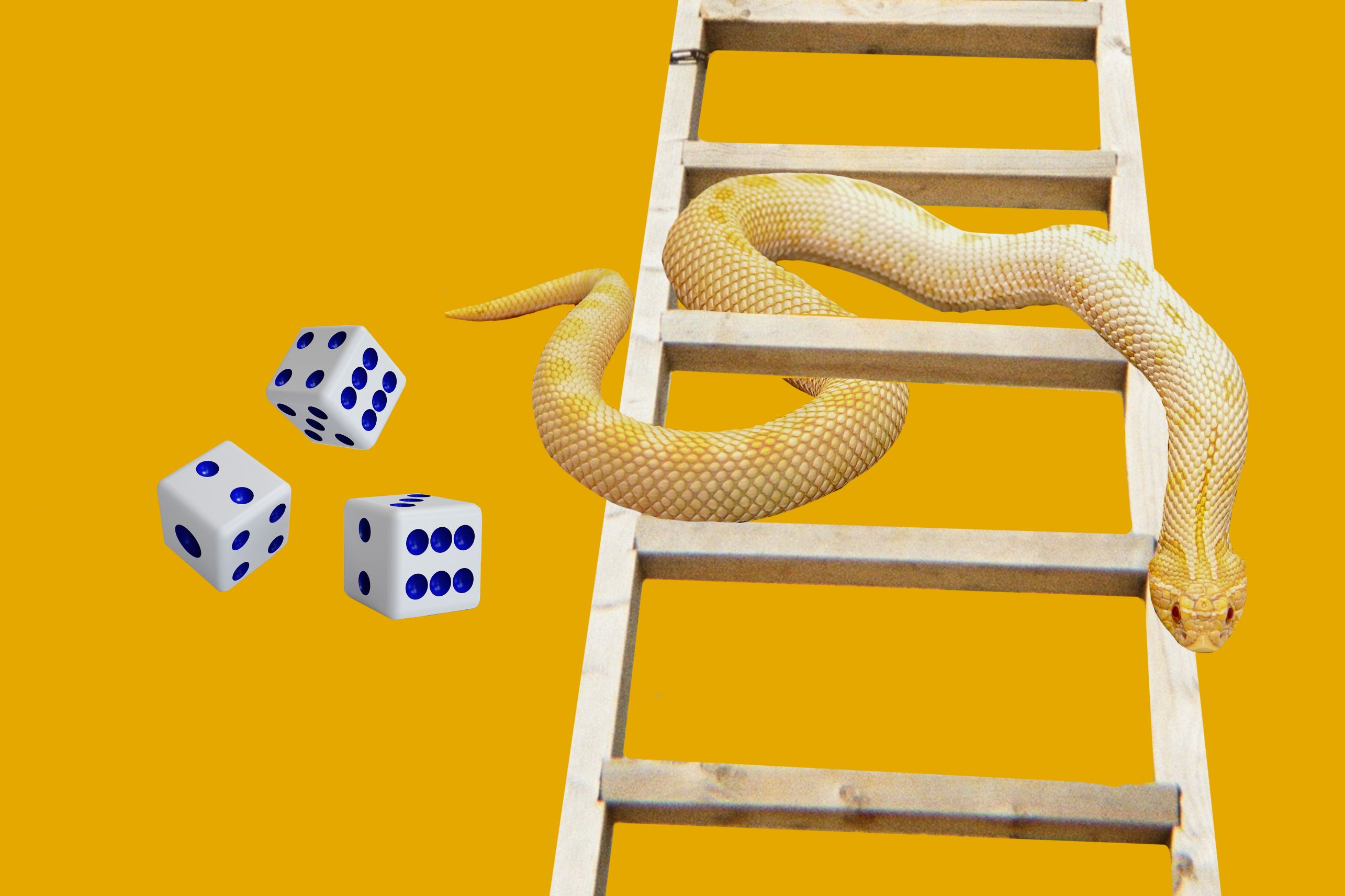 Evolution Revolution Workshop | Oxford University Museum of Natural History