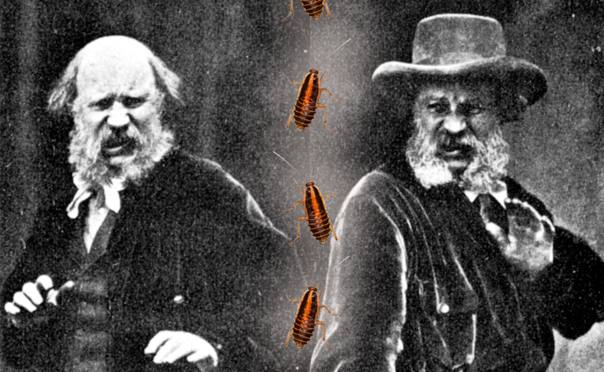 Insects and the Psychology of Disgust and Repulsion | Oxford University ...