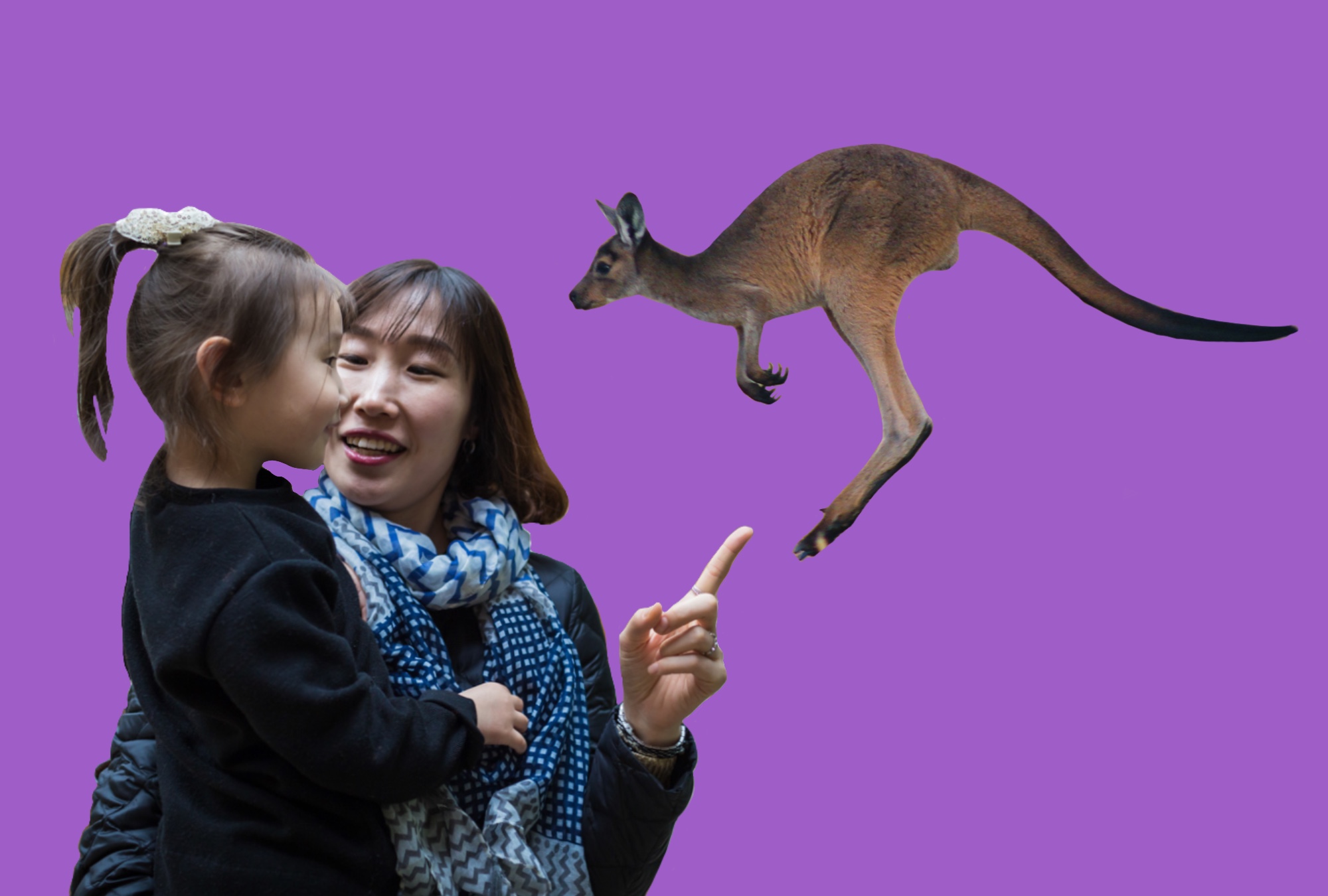 A Little Look at... animals on the move | Oxford University Museum of ...