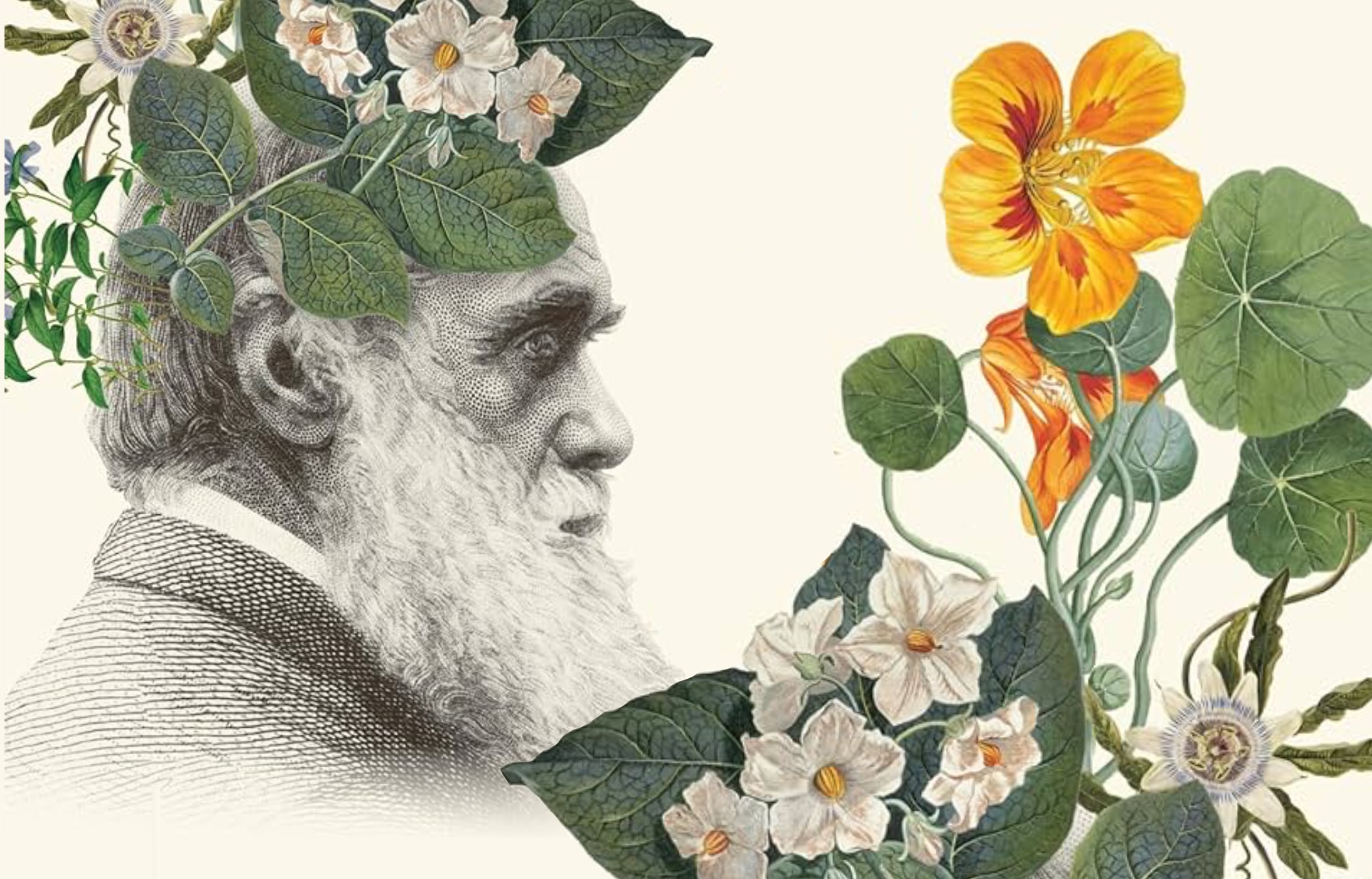 Darwin and the Art of Botany | Oxford University Museum of Natural History
