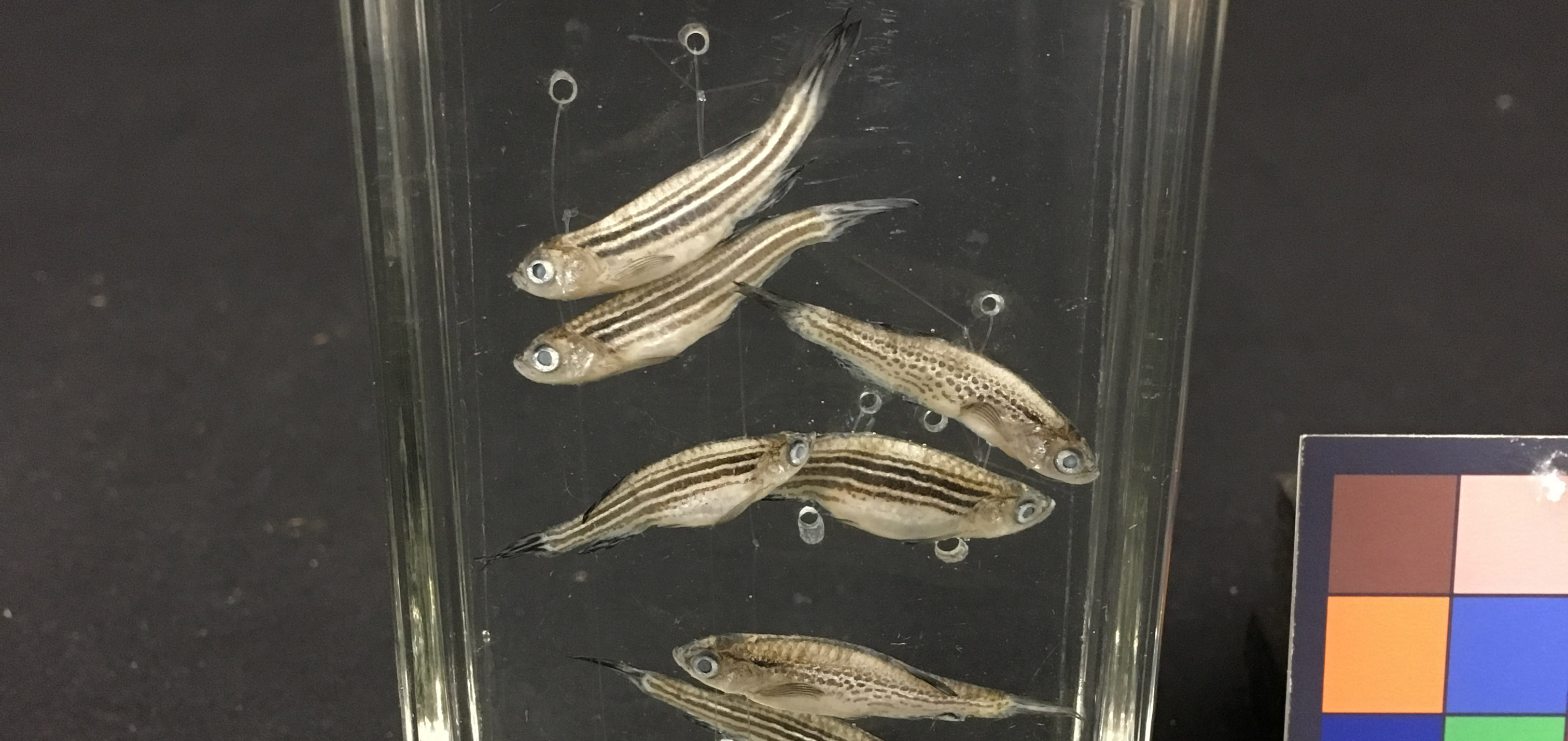 Collections care | Oxford University Museum of Natural History