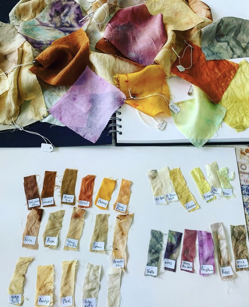 Natural Dye Workshop | Oxford University Museum of Natural History