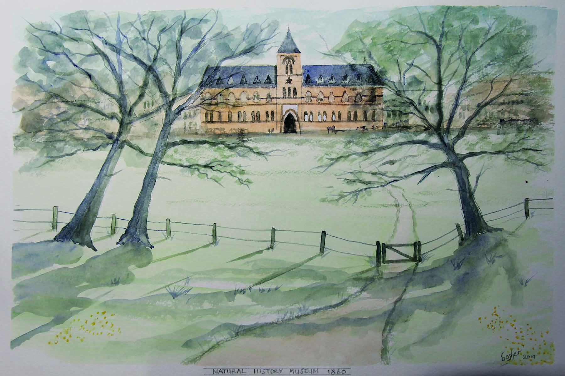 Ruskin 200 Young Artist Competition | Oxford University Museum of ...