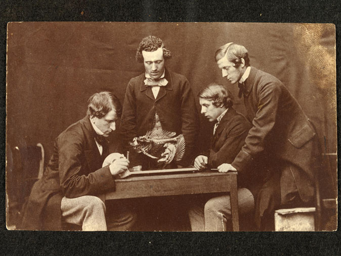 Pioneers of photography | Oxford University Museum of Natural History