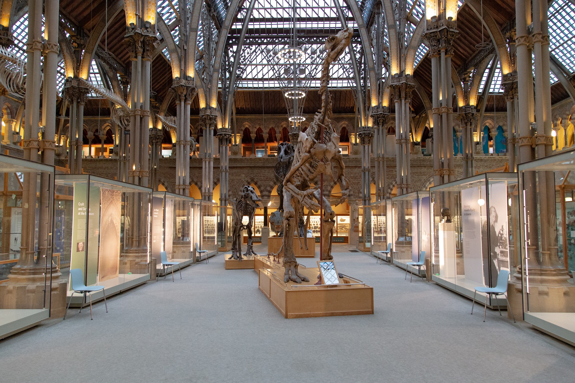 A changing vision of natural history | Oxford University Museum of Natural History
