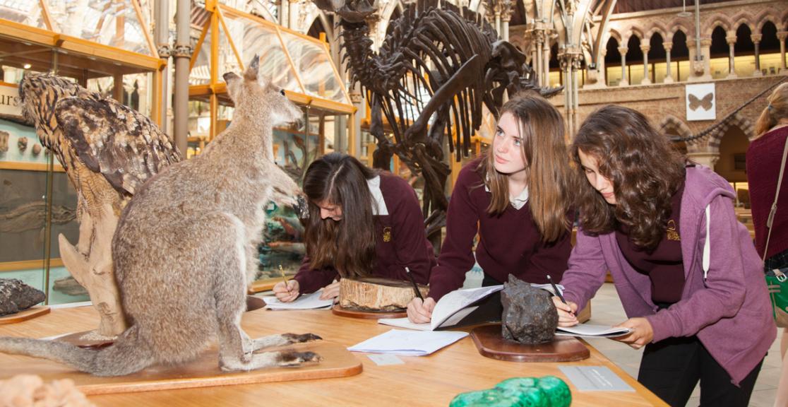 Key Stage 5 School Visits - Science | Oxford University Museum of ...