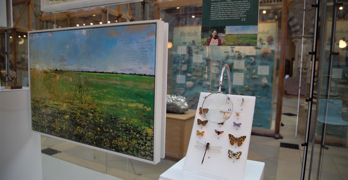 Biodiversity Online Exhibition | Oxford University Museum of Natural ...