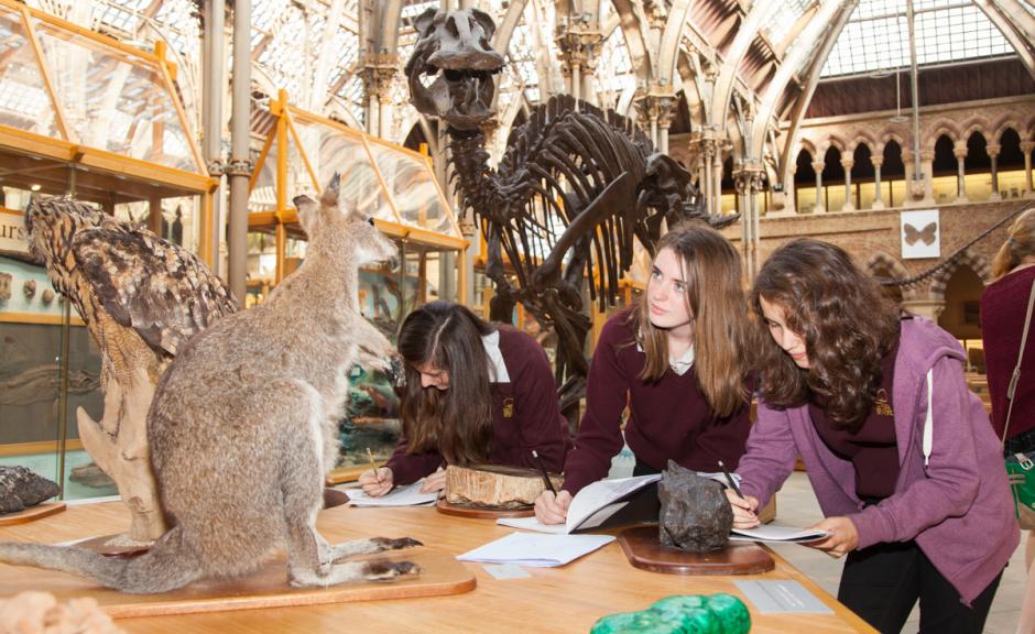 Key Stage 5 School Visits - Science | Oxford University Museum of ...