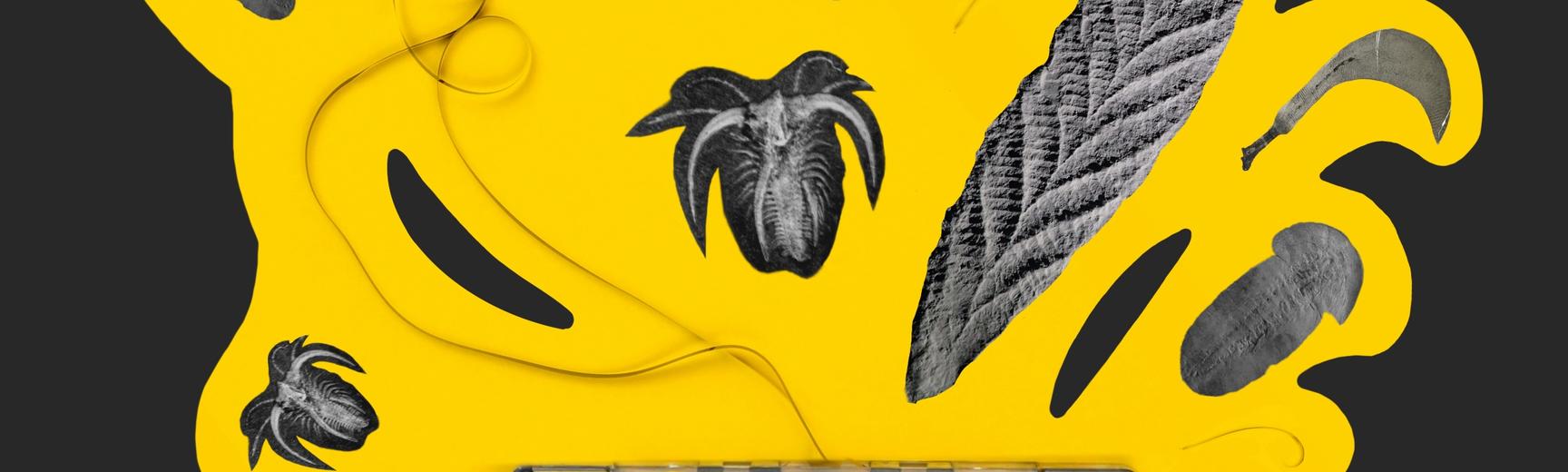 Replaying the Tape | Oxford University Museum of Natural History