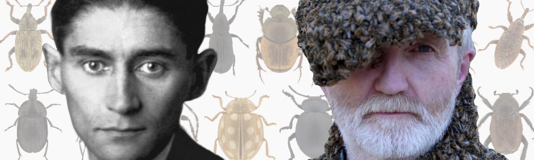 What's Kafka's problem with insects? | Oxford University Museum of ...