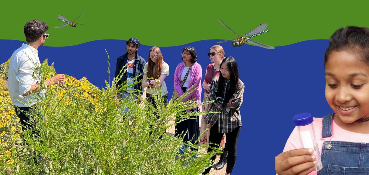Water and Wildlife Discovery Day | Oxford University Museum of Natural ...