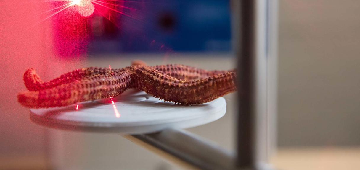 Small Research Facilities | Oxford University Museum of Natural History