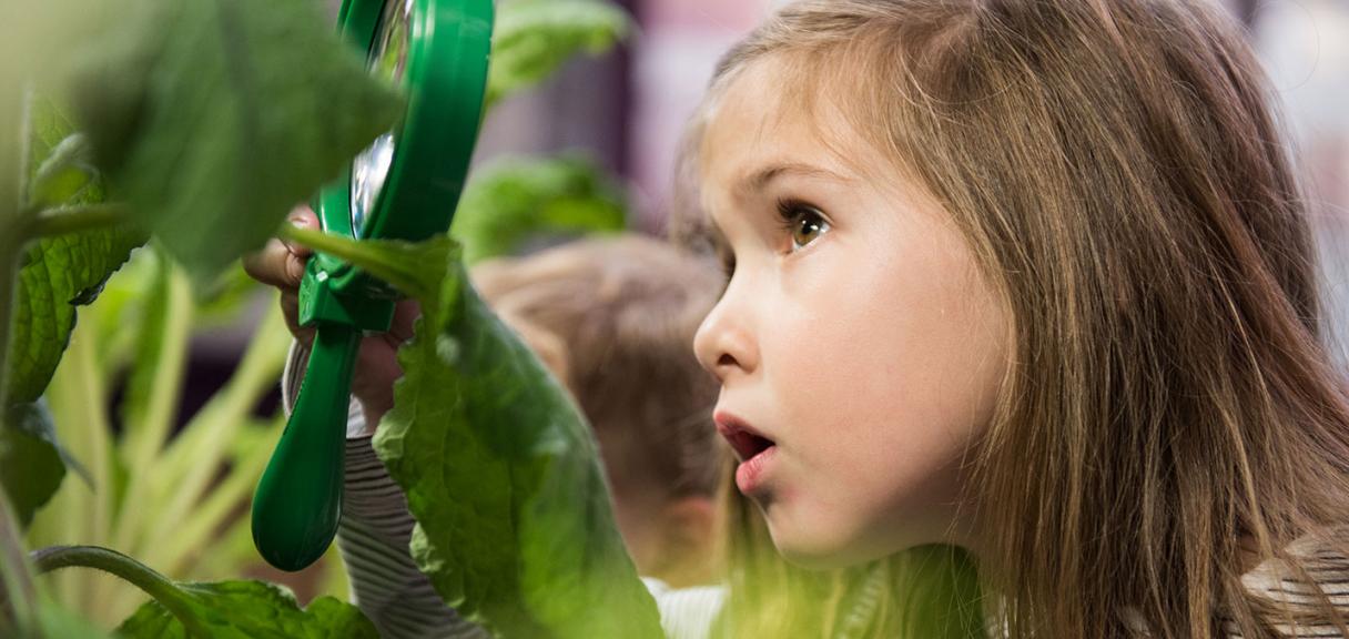 Operation Earth | Oxford University Museum of Natural History