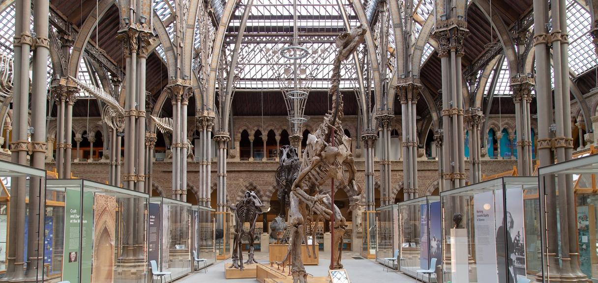 Museum of Natural History homepage | Oxford University Museum of ...
