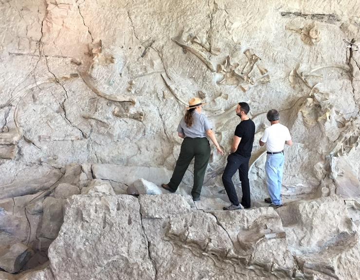 Megalosaurus and the Incredible History of British Dinosaur Discoveries ...