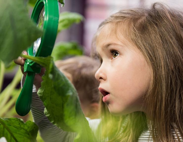 Operation Earth | Oxford University Museum of Natural History