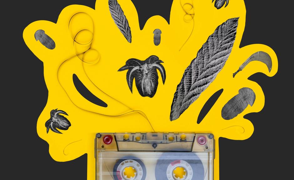 Replaying the Tape | Oxford University Museum of Natural History