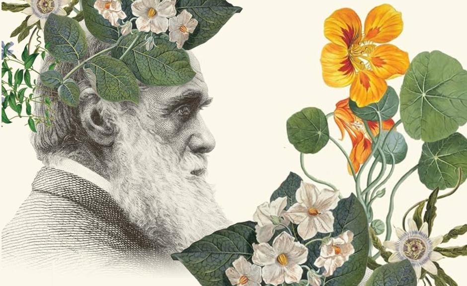 Darwin and the Art of Botany | Oxford University Museum of Natural History