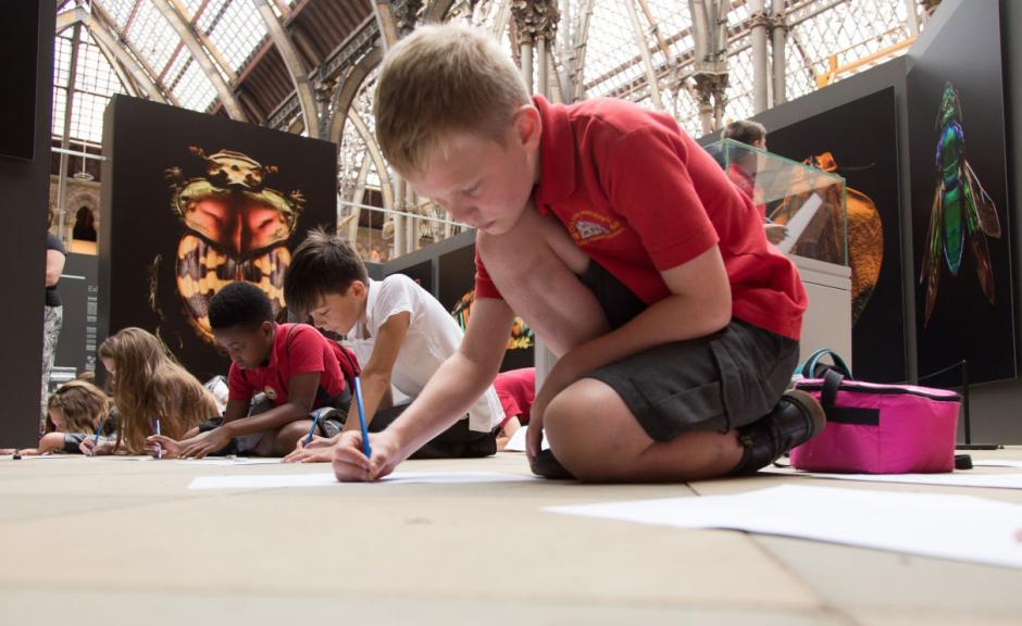 Beetle Boy | Oxford University Museum of Natural History