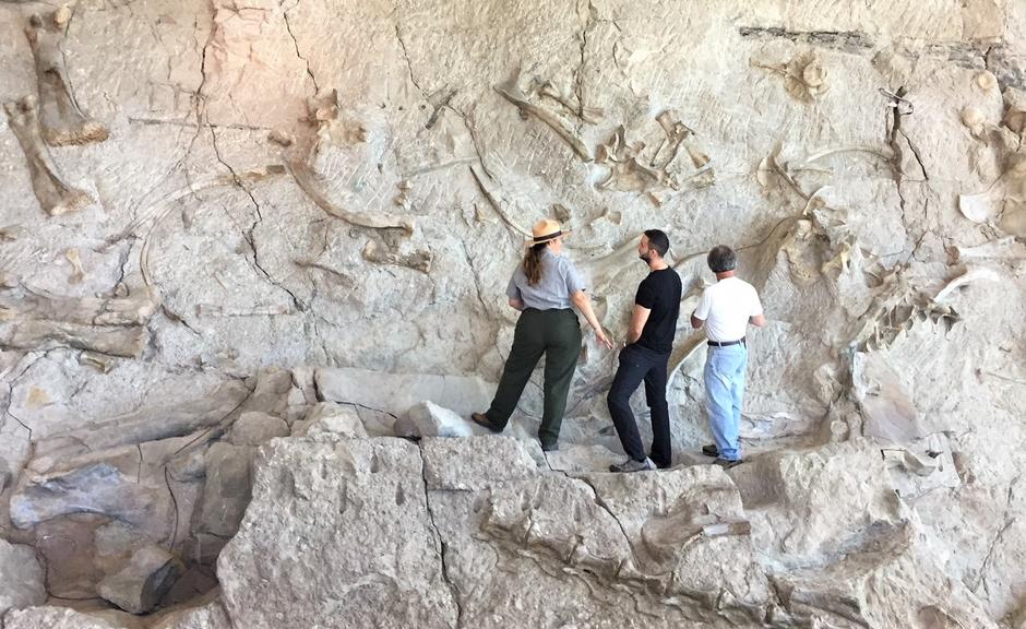 Megalosaurus and the Incredible History of British Dinosaur Discoveries ...