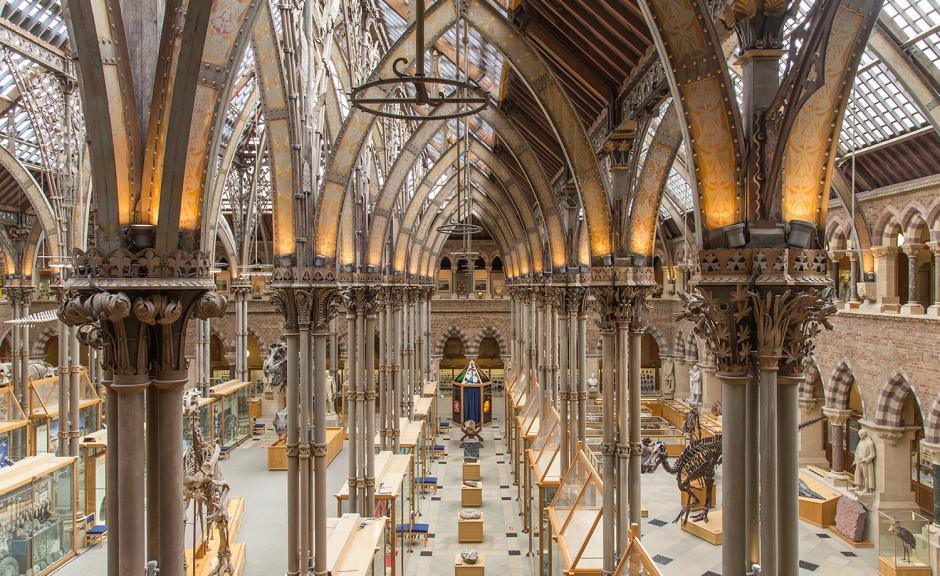 The Museum's Architecture | Oxford University Museum of Natural History