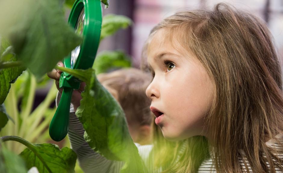 Operation Earth | Oxford University Museum of Natural History