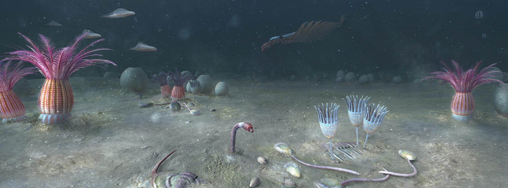 Home | Oxford University Museum of Natural History