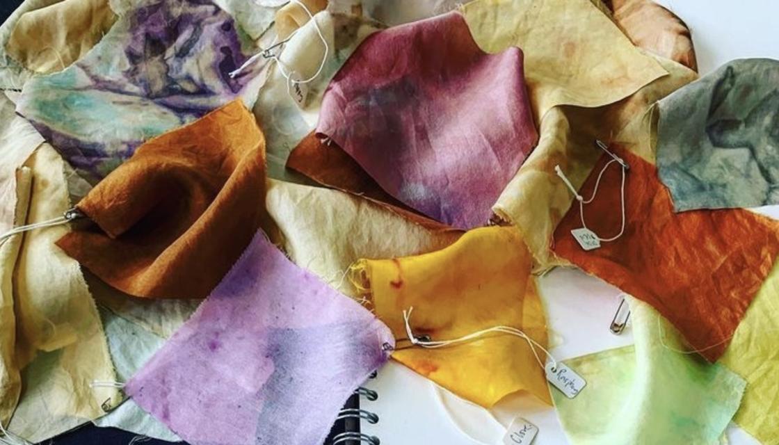 Natural Dye Workshop | Oxford University Museum of Natural History