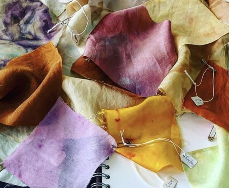 Natural Dye Workshop | Oxford University Museum of Natural History