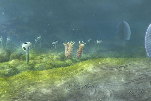 Events | Oxford University Museum of Natural History